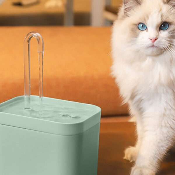 Wodna Kaskada KittenStream dla kota – KocieCentrum